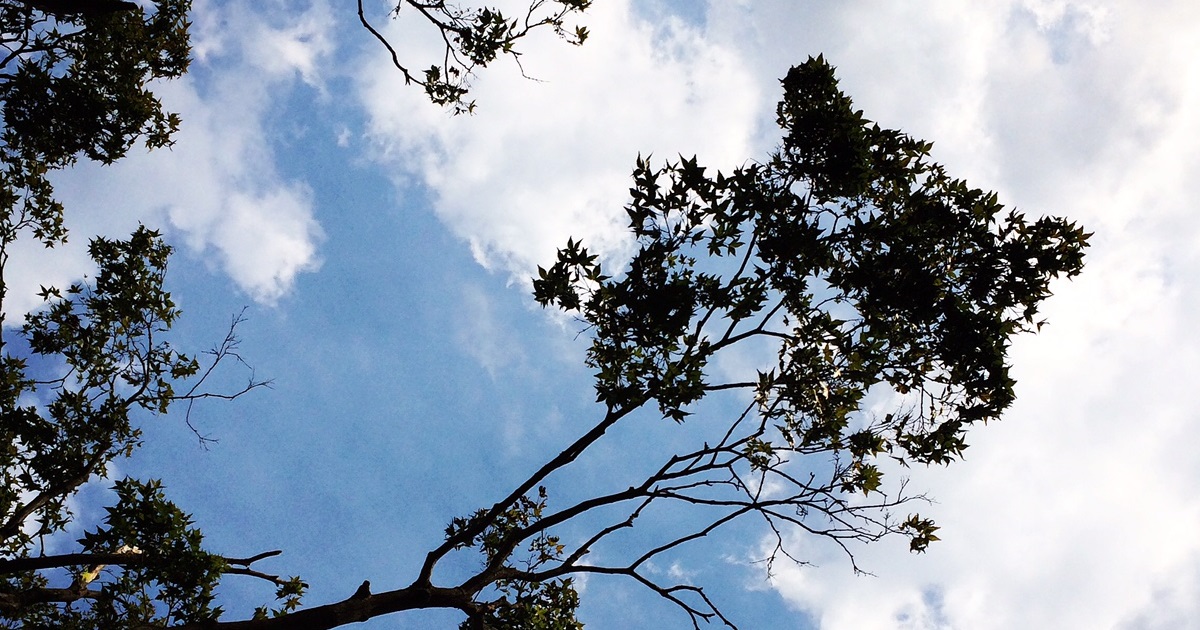 絶対にフォローしておきたいオススメMixcloudチャンネル5選 | HighFives